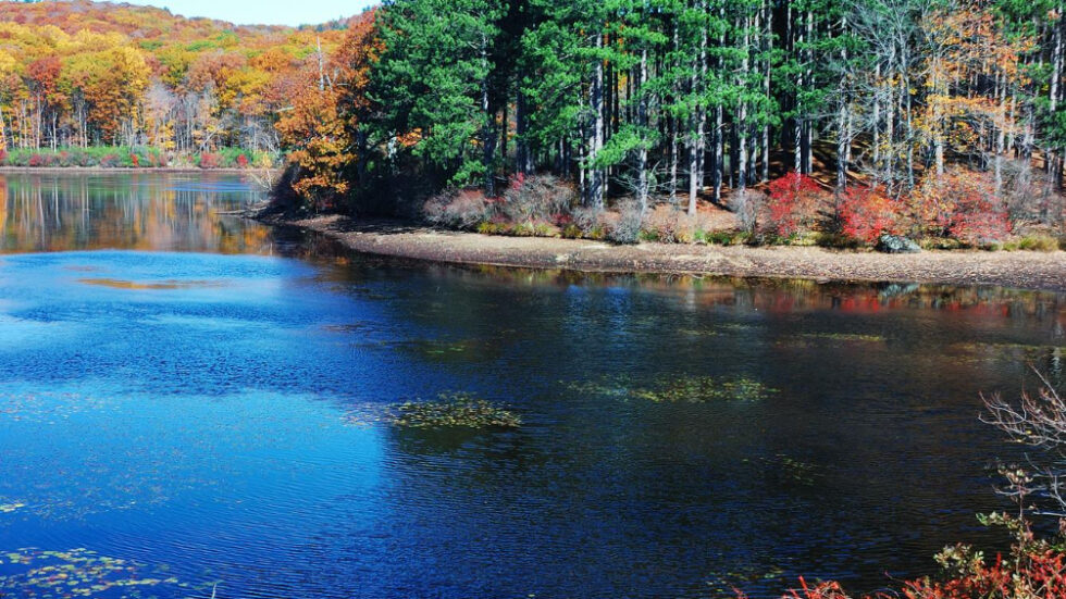 Discover Your Dream Cottage in Whiteshell Provincial Park